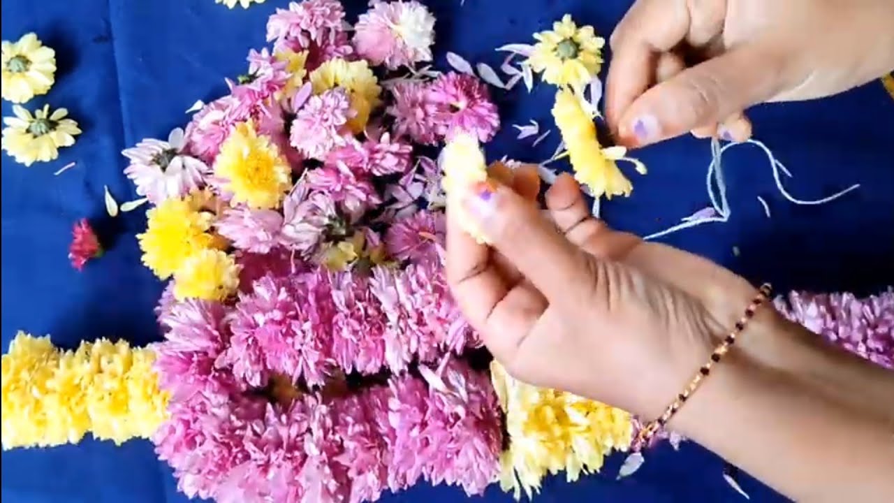 Simple Trick To Make Flower Garland Two Color Chamanthi Flower Garland simple-trick-to-make-flower-garland-two-color-chamanthi-flower-garland
