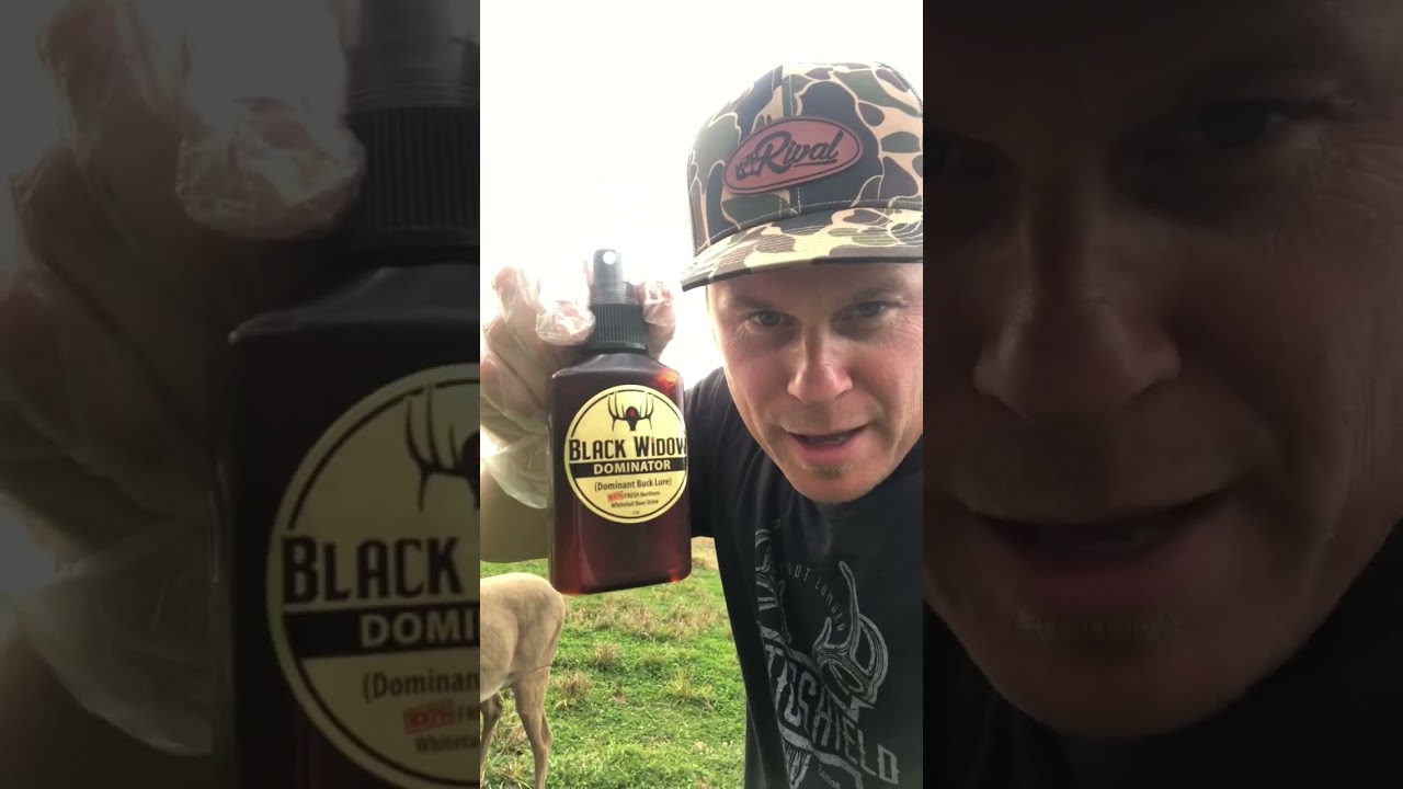 Hunting over a decoy. Make sure to kill all human scent! #decoy #bucks ...