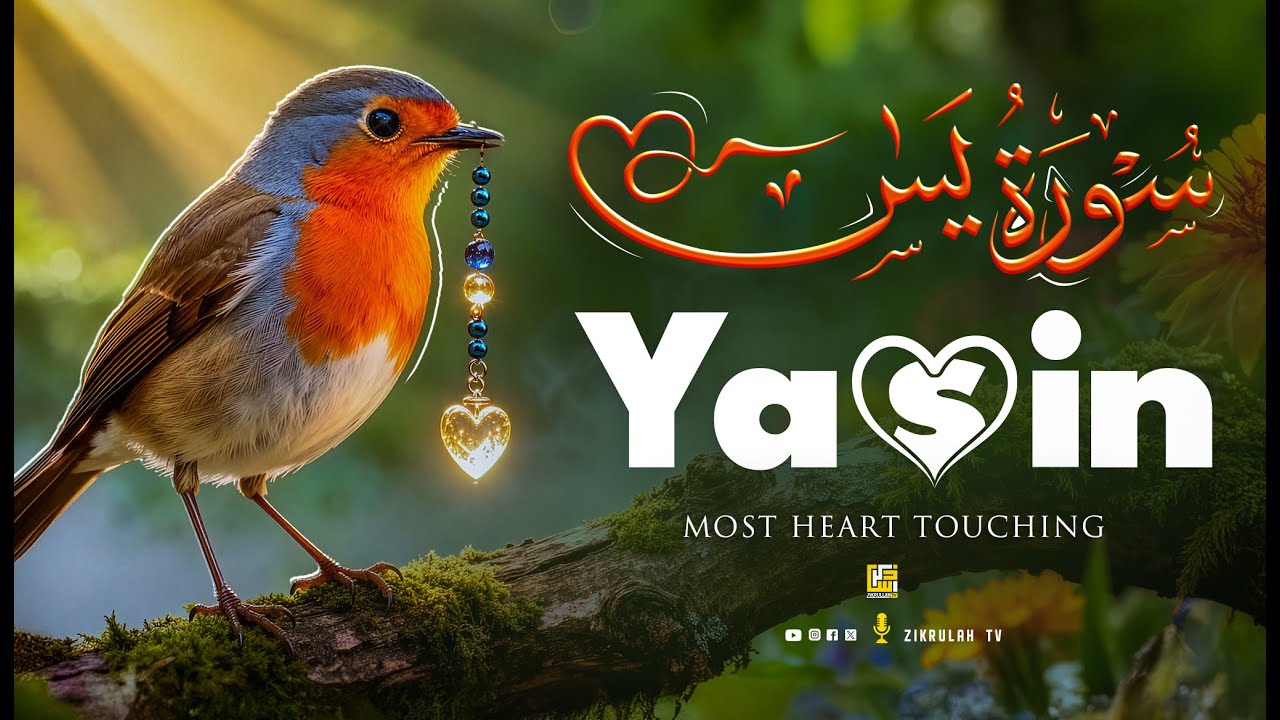 Relax Your Heart & Sleep Peacefully | Ultimate RELAXING Quran to Ease ...