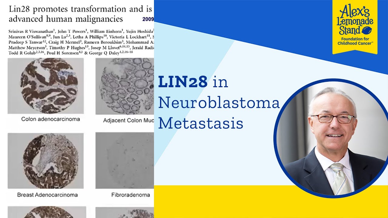 LIN28 in Neuroblastoma Metastasis - YouTube