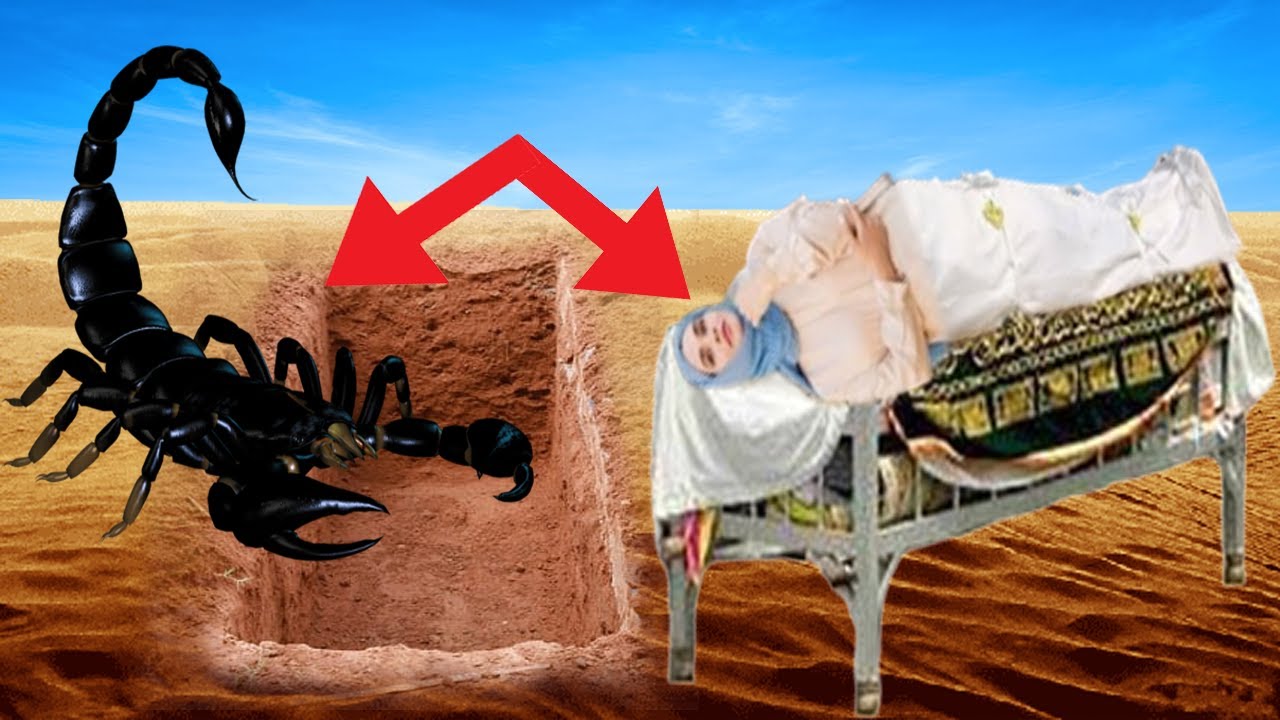 Aurat Ki Qabar Main Bichu Ka Ajeeb Waqia 🧕 Ourat Ko Qabar Na Qabool Na ...