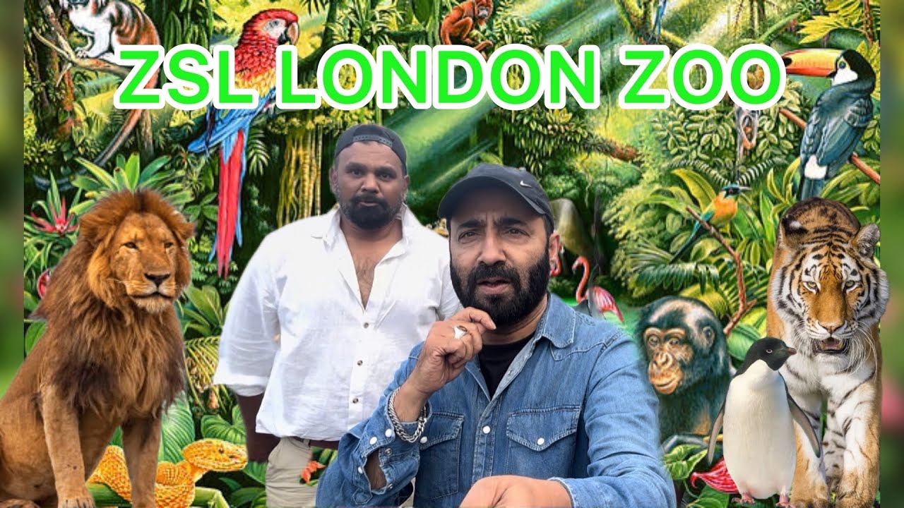 London Zoo - World’s Oldest Scientific Zoo || ZSL London Zoo Full Tour ...