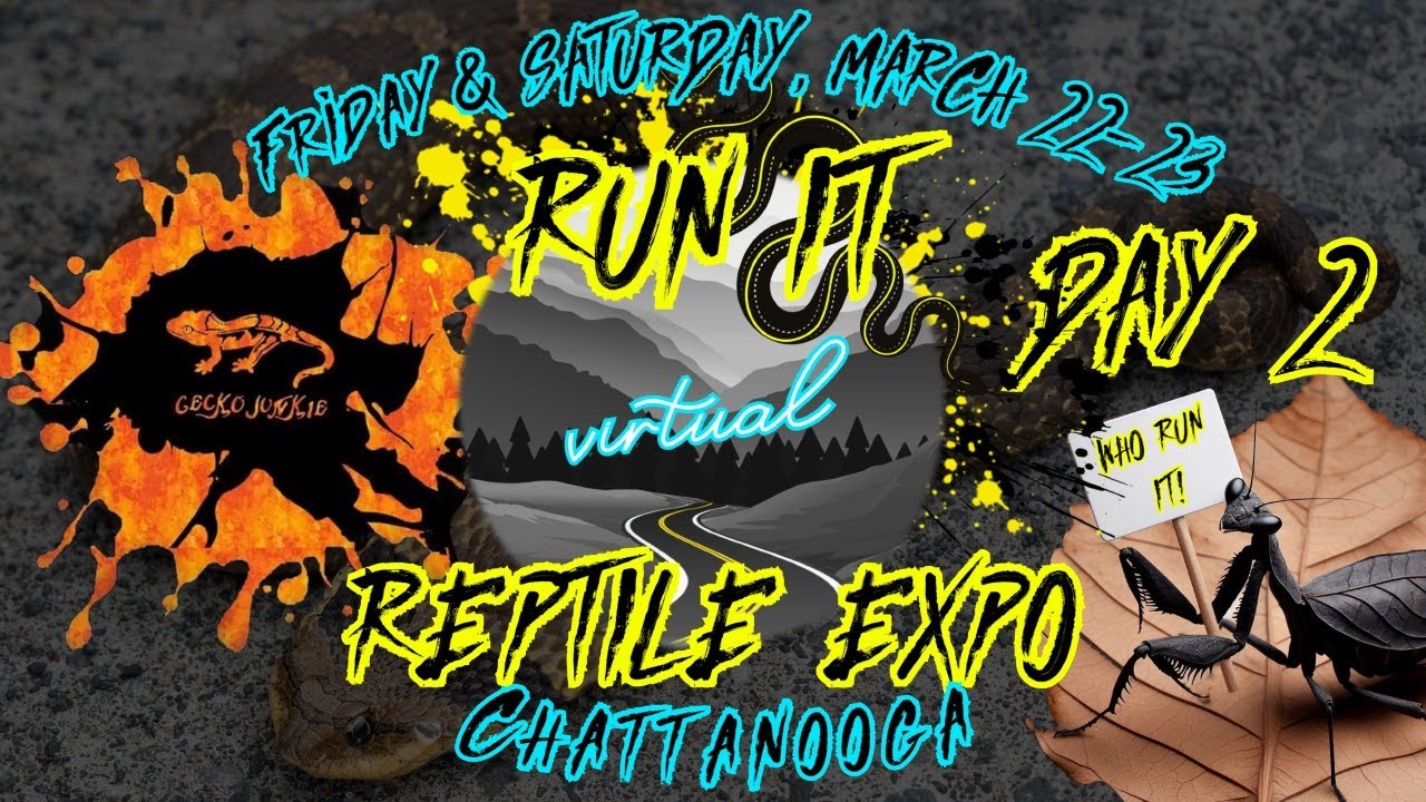 Gecko Junkie presents: DAY 2 🍀 RUN IT Reptile Expo's March Sale Event ...