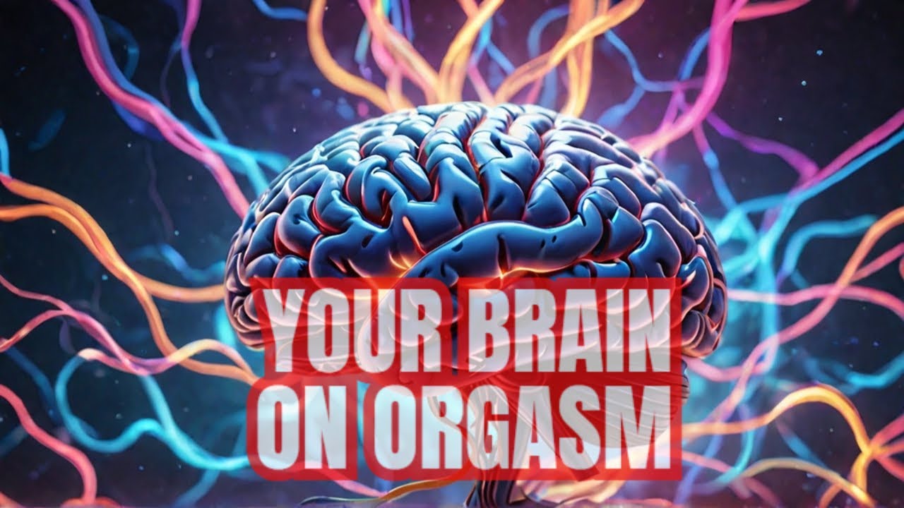 What Happens In Your Brain During Orgasm Youtube 7948