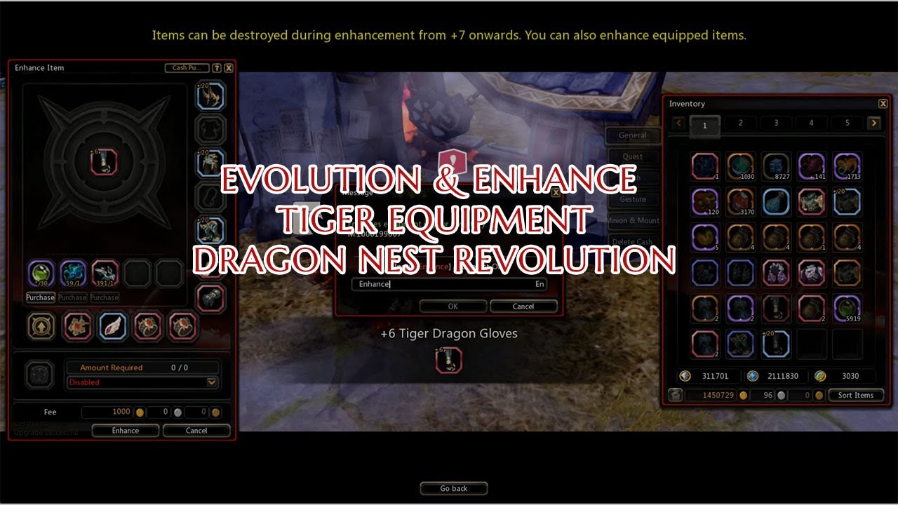 Dragon Nest Revolution | Evolution & Enhance Tiger Equipment #Guide16 - YouTube
