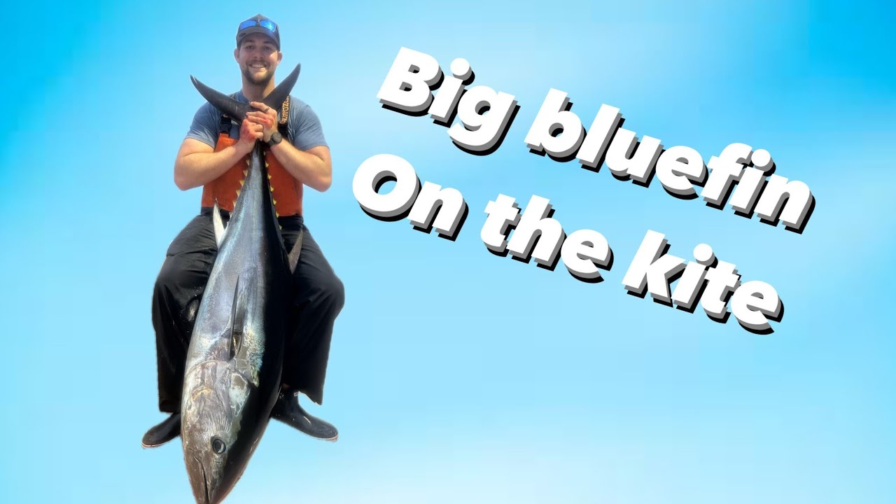 BIG Bluefin Tuna On the Kite (3-Day Fishing Trip At San Clemente Island ...