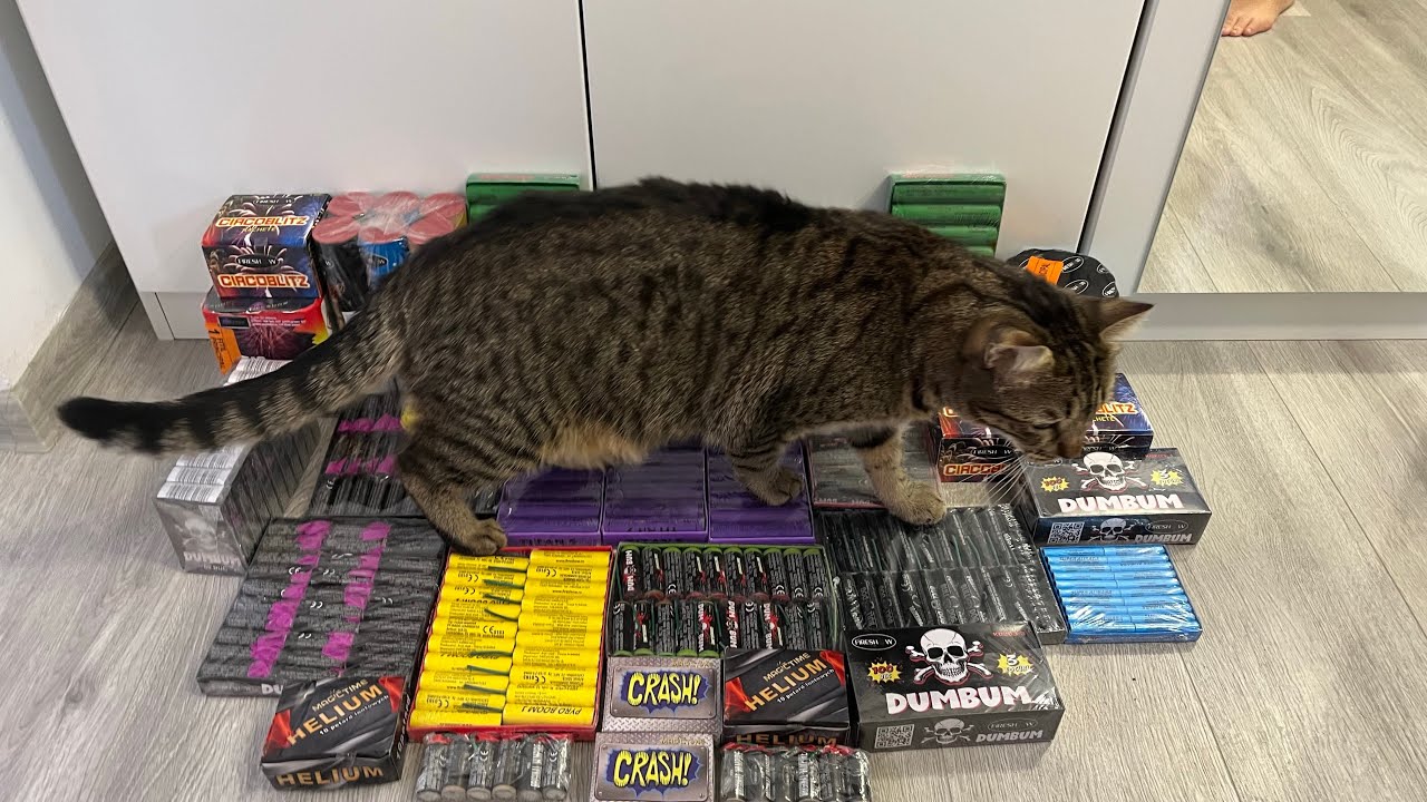 🧨Comandă Mircea Anton 2024-2025 de toamnă 🍂 - YouTube