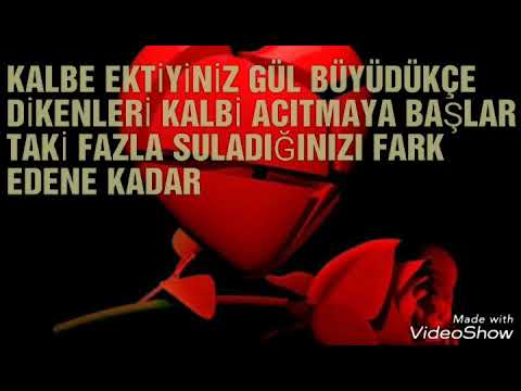 Aşk acısı.