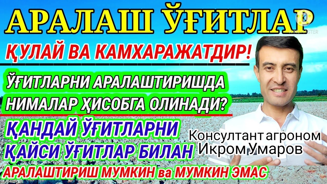 ARALASH O‘G‘ITLAR. 120-son. УГИТЛАРНИ АРАЛАШТИРИШ КОИДАЛАРИ - YouTube