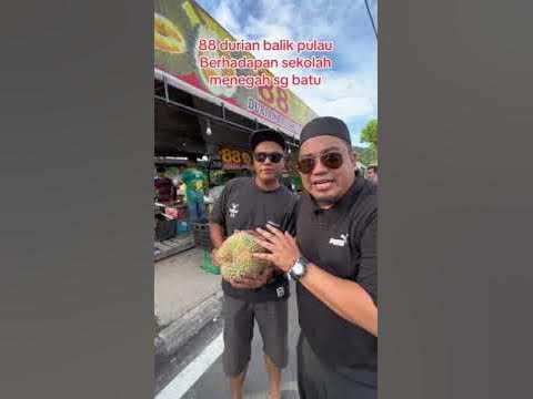 88 durian 👍 balik pulau Penang Malaysia - YouTube