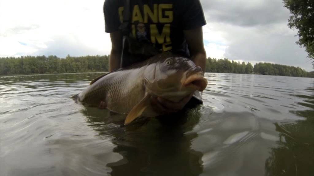 Lithuanian carp fishing - YouTube