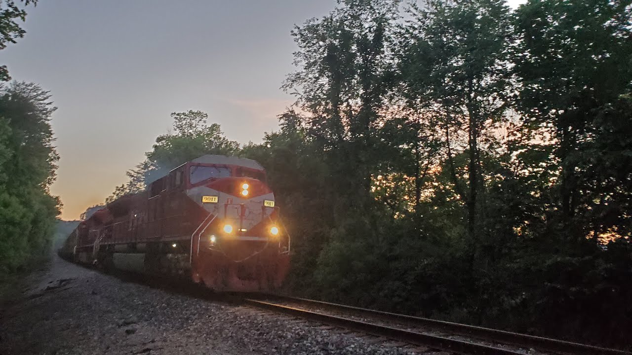 INRD HWSA Meets a Deer At Dusk - YouTube