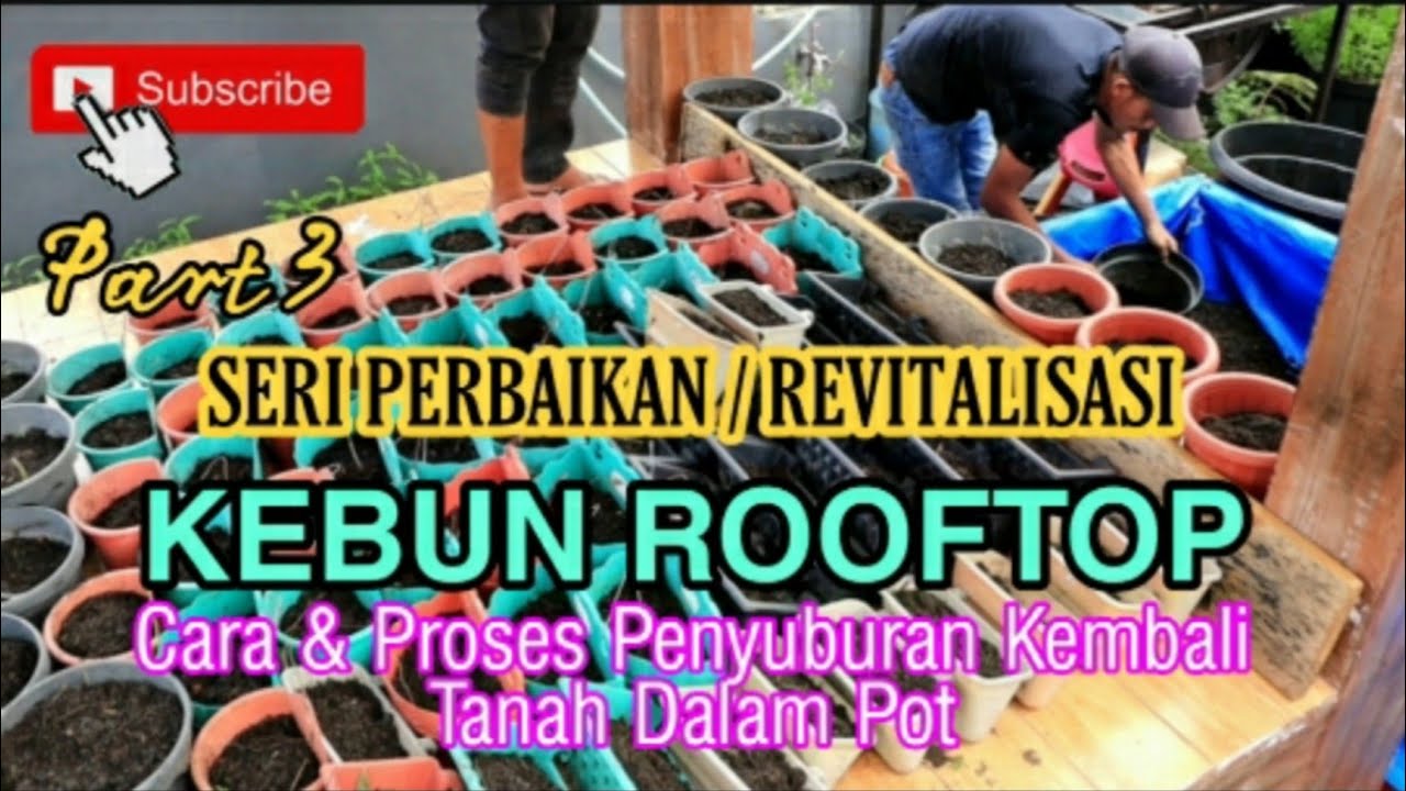 Part 3 Seri Perbaikan Kebun Rooftop : Cara yang Benar Menambahkan Tanah ...