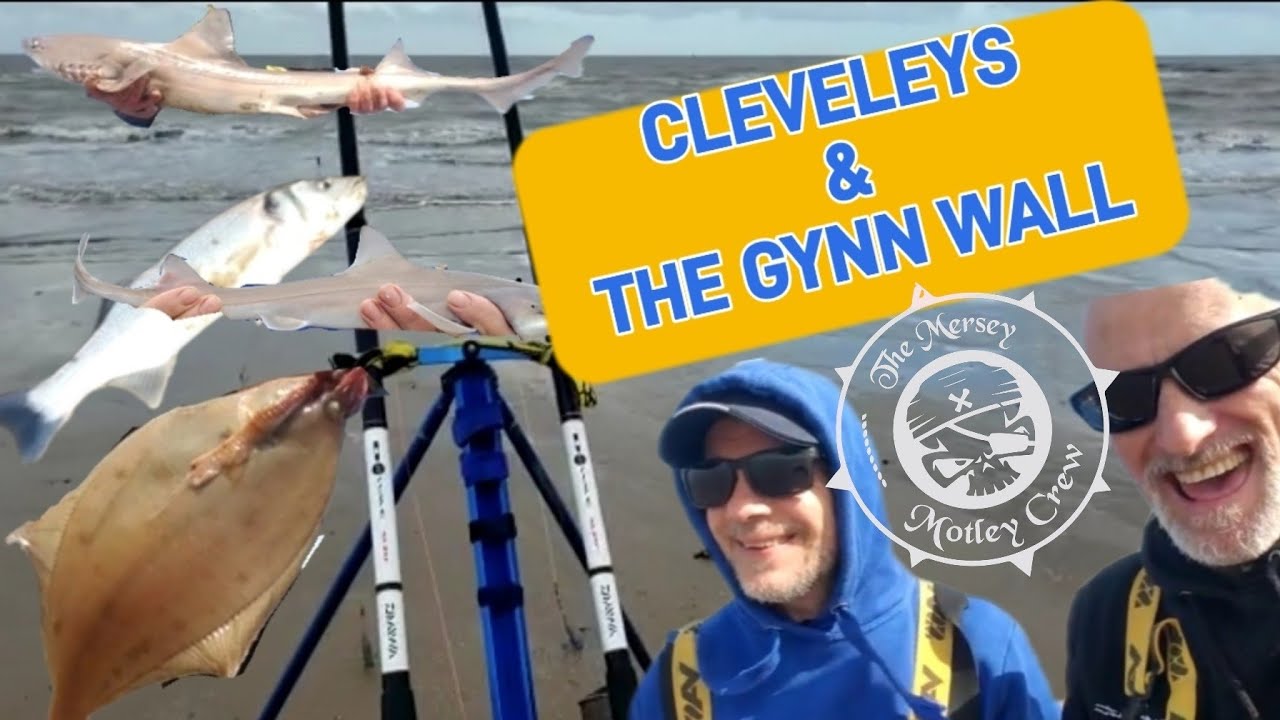 CLEVELEYS & THE GYNN WALL. Smooth Hound, Bass, Bass Fishing - YouTube