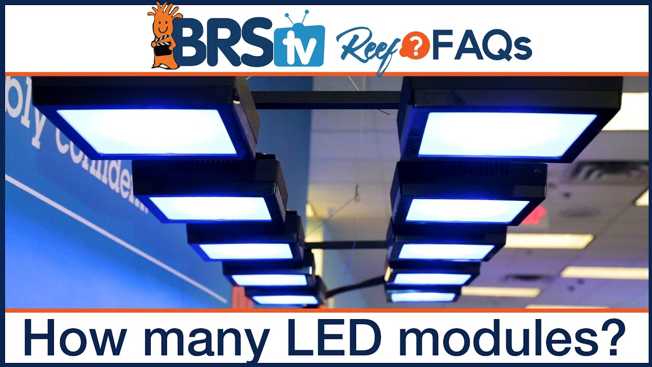 How many LED modules? Selecting and spacing reef tank LED lighting ...