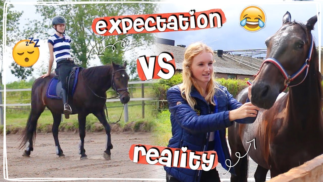 PAARDENMEISJES Expectations VS Reality! + BLOOPERS!! | Daphne draaft ...