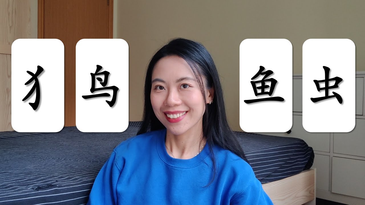 animal radical (part1) 犭鸟鱼虫 , hanzi tutorial - YouTube