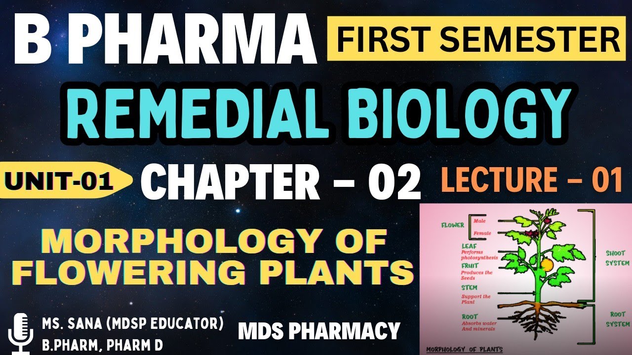 Ch-02/L-1 Morphology of Flowering plants | Remedial Biology | B Pharma First Semester #bpharma # ...