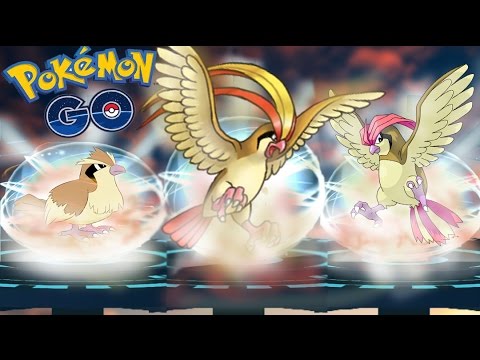 EVOLUCION PIDGEY TO PIDGEOTTO / PIDGEOT 1160CP 👍 - YouTube