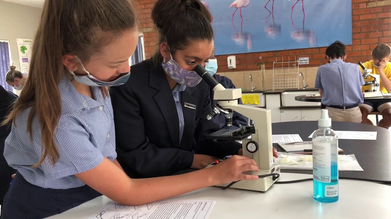 Life Science at Curro Hillcrest - YouTube