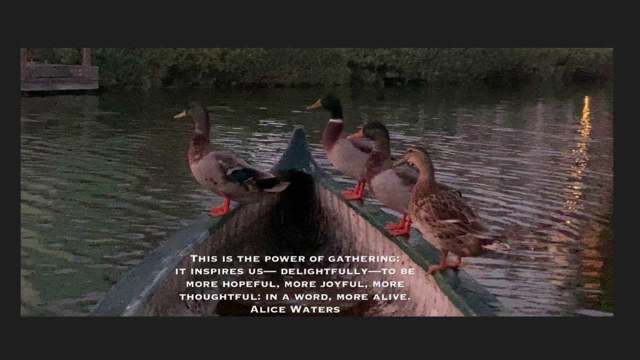 This is the power of gathering: it inspires us—delightfully... Alice ...