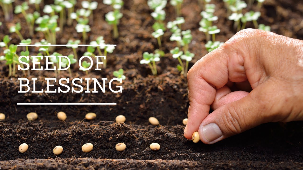 Seed of Blessing - YouTube