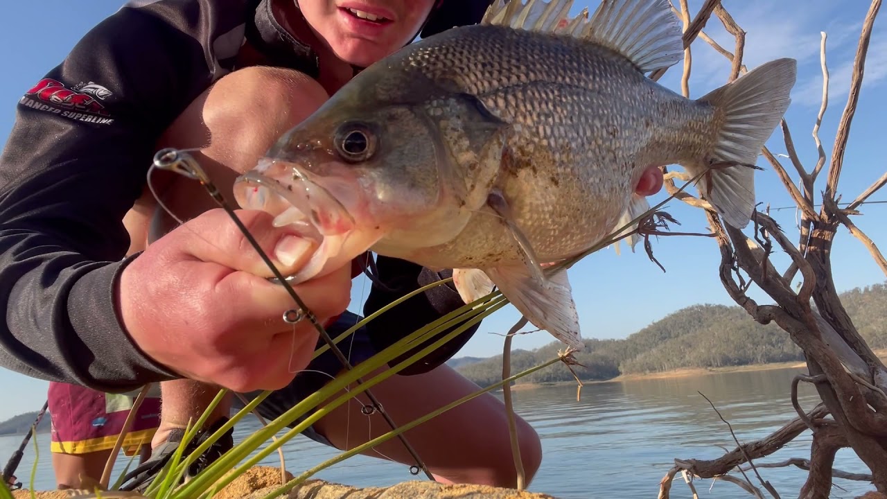 Insane Aussie Bass Session Off The Bank!! - YouTube