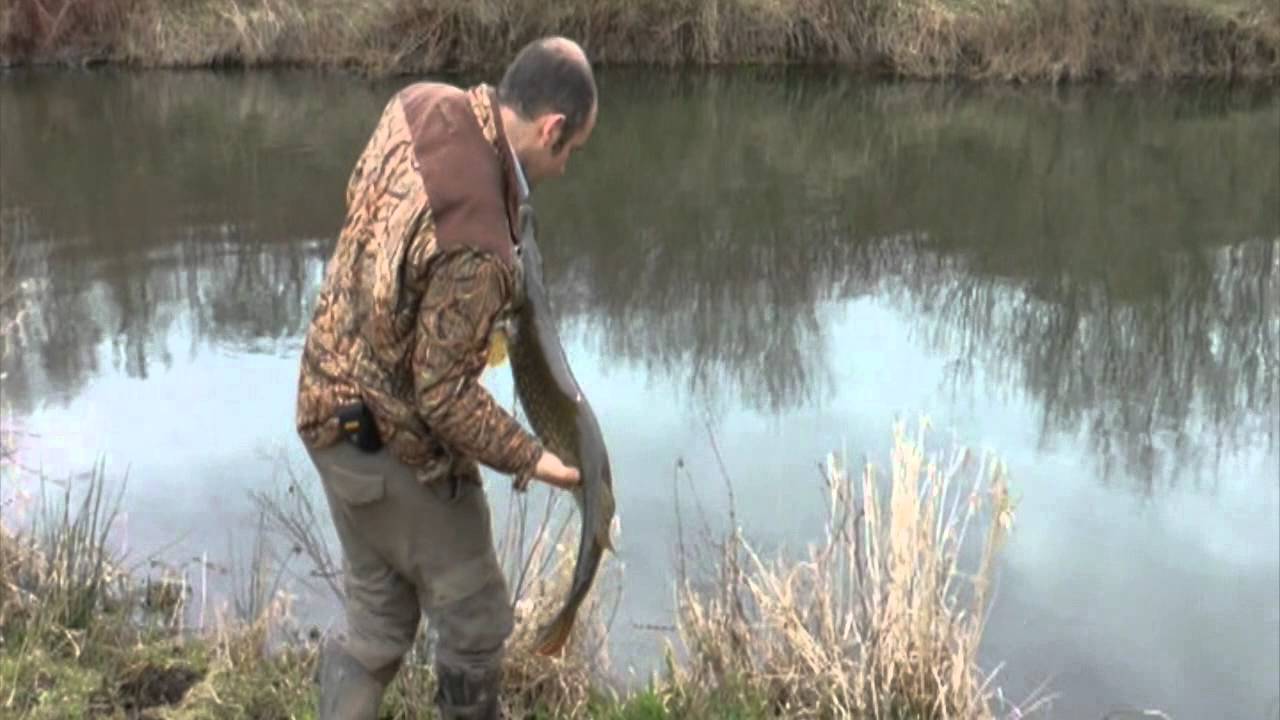 Pike Fishing Dorset Days and Dorset Ways '' Gone Fishin' 2012 '' - YouTube