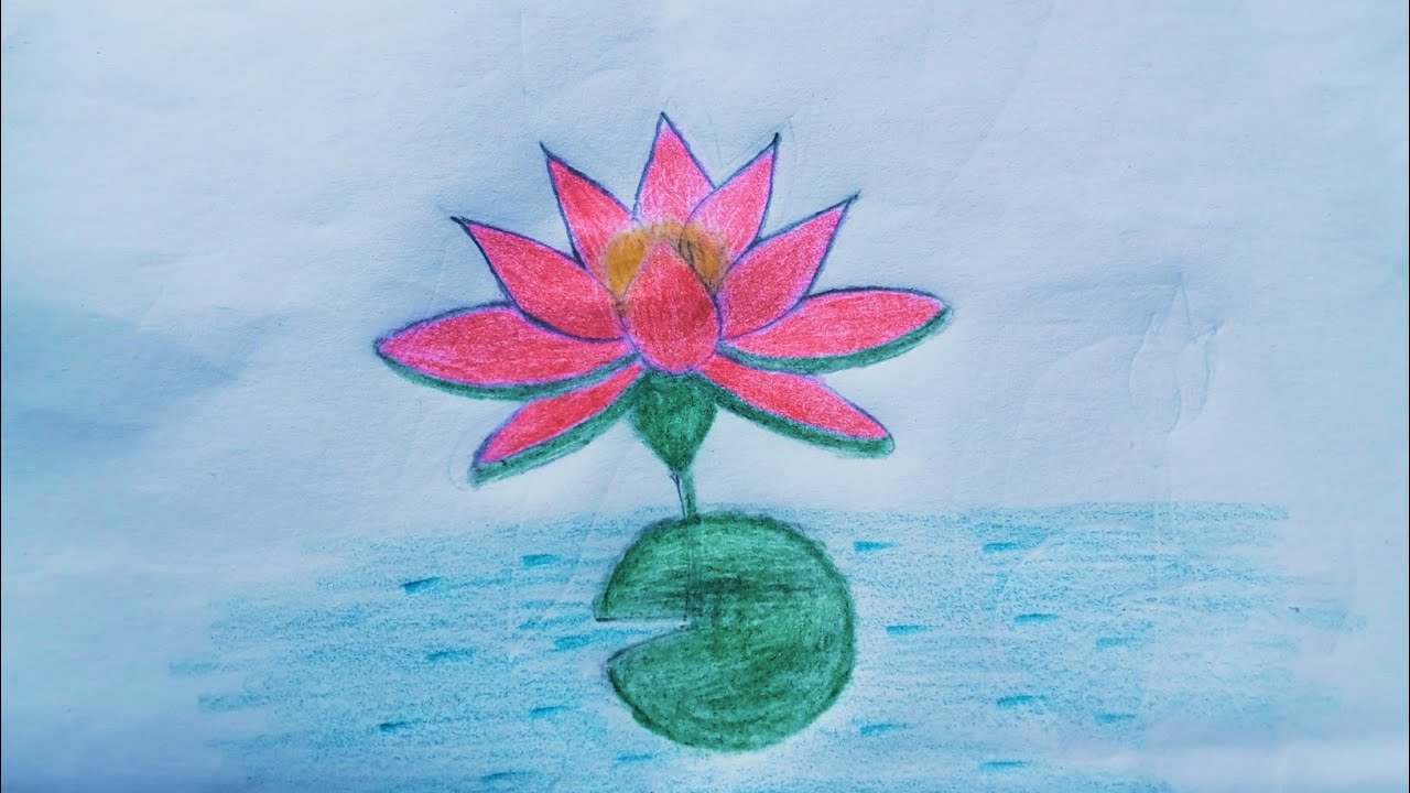 How to draw water Lily // Beautiful drawing step by step very easy ...