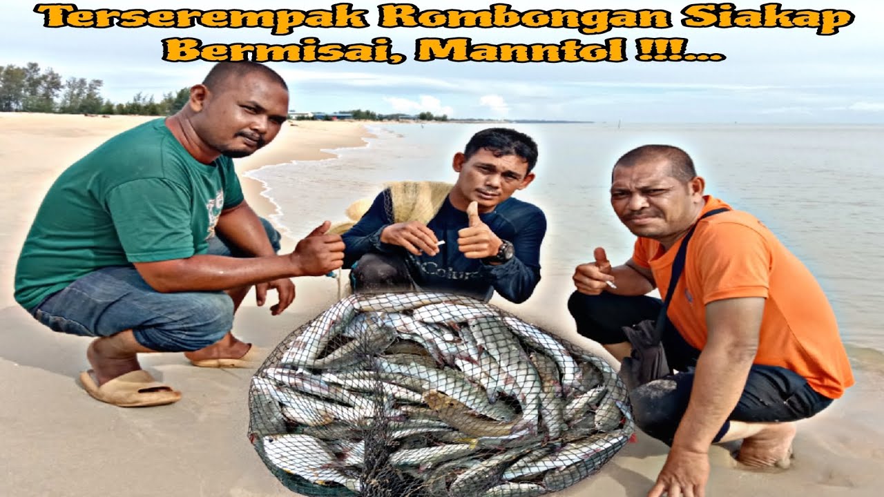 Castnet/Fishing, Terserempak Rombongan Siakap Bermisai. Manntol... 👍 ...