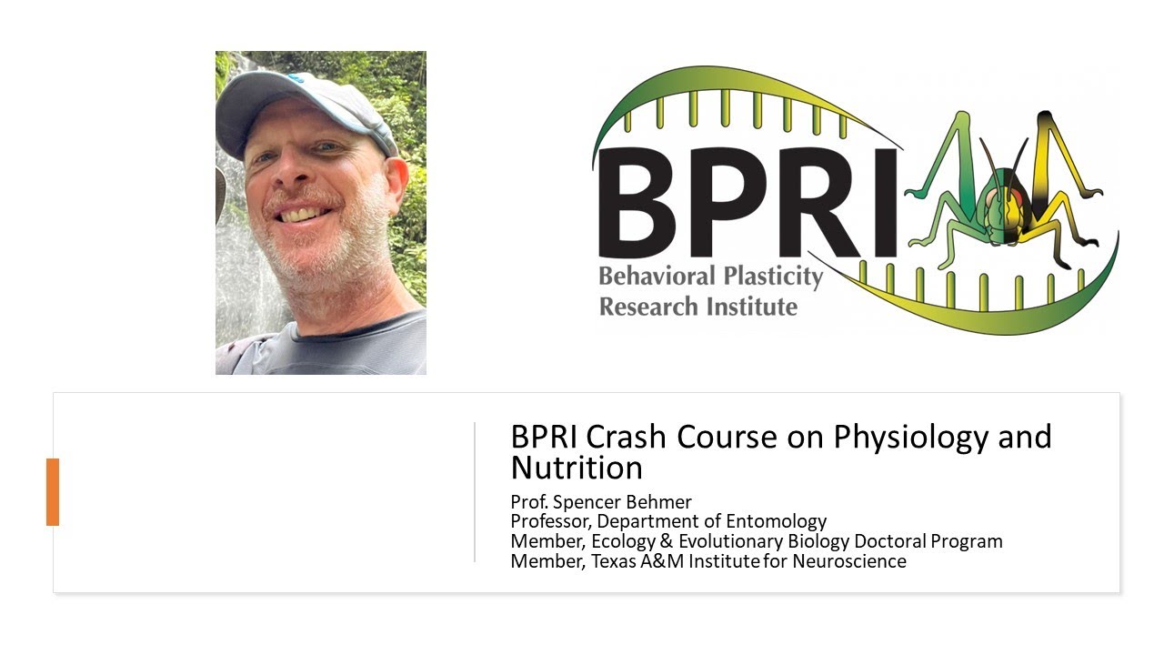 BPRI Crash Course: Physiology and Nutrition of Locust - YouTube