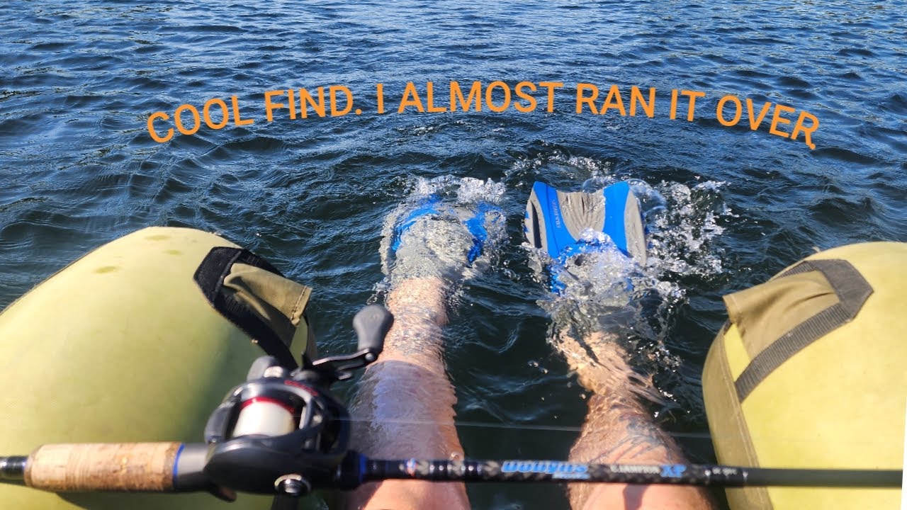 FLOATING WITH JACOB (SURPRISE SNAKE) - YouTube