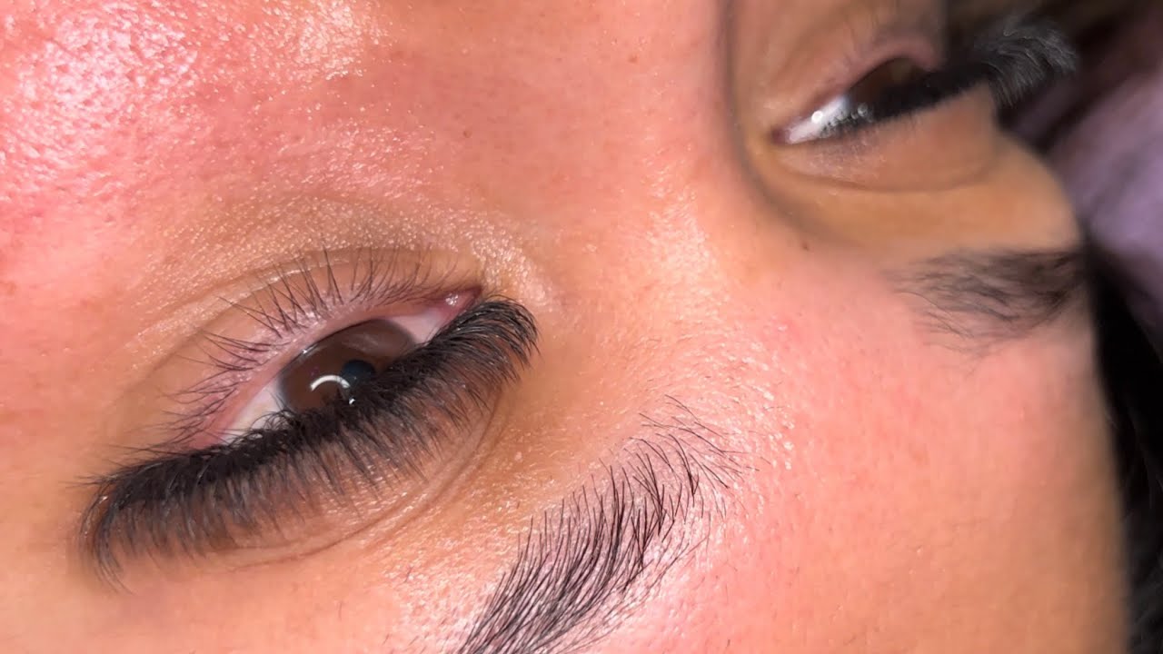 Lash W| Me Light Volume Lashes Using W Shaped Lashes - YouTube