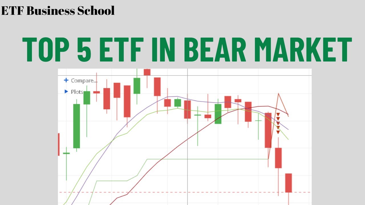 Top 5 ETF in Bear Market - YouTube