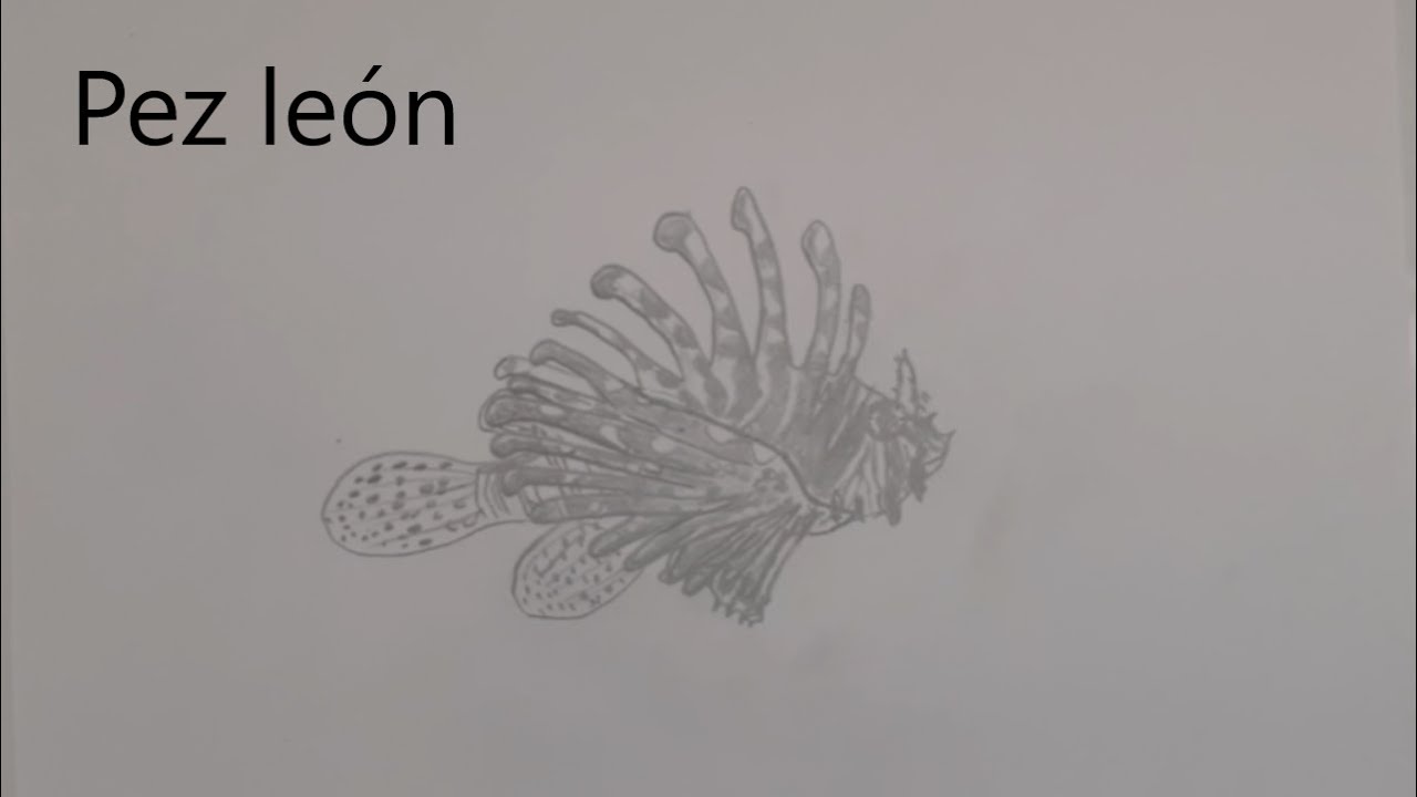 como dibujar un Pez león - YouTube