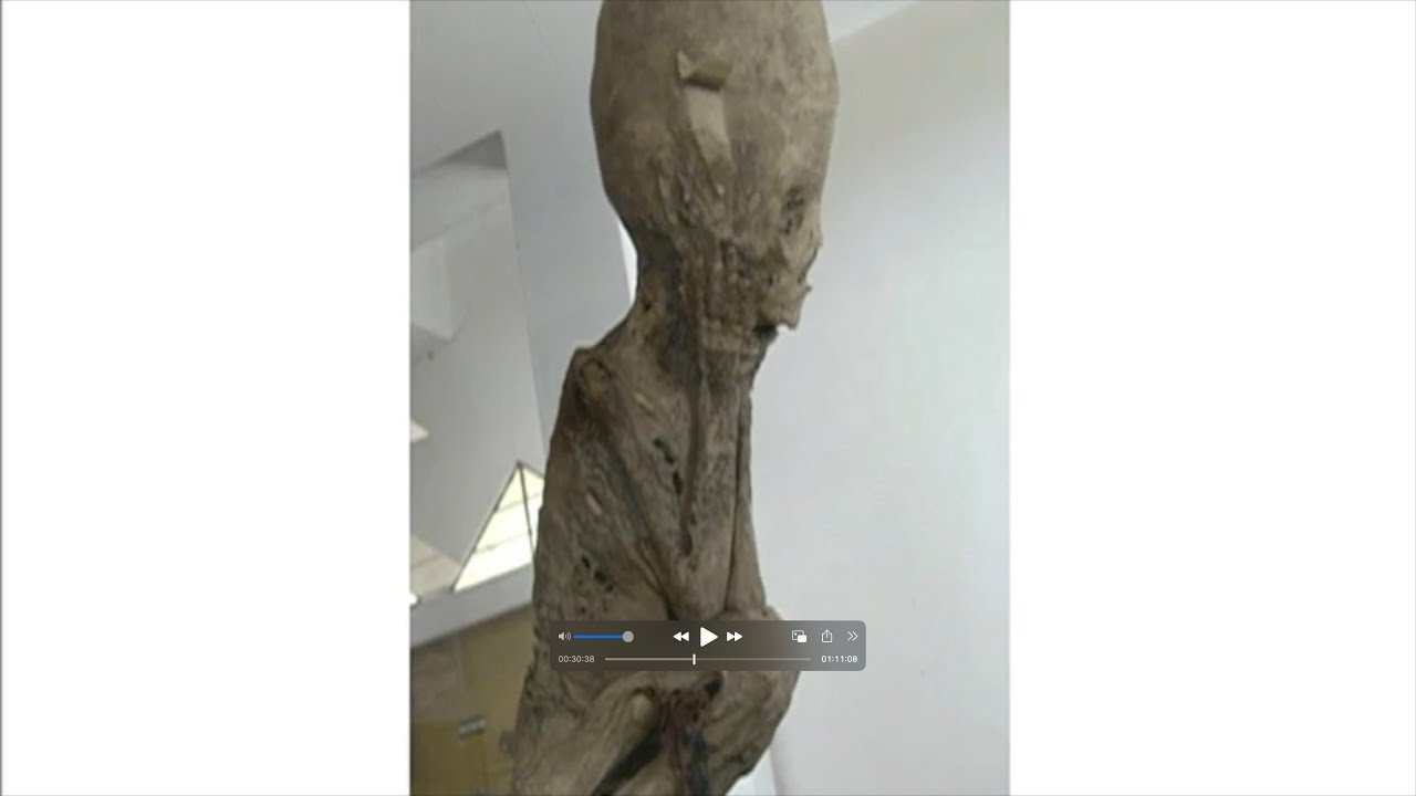 Elongated Skulls Of Peru Complete Analysis, DNA Results And Surprising ...