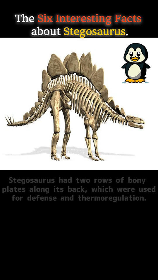 The six Interesting Facts about Stegosaurus - YouTube