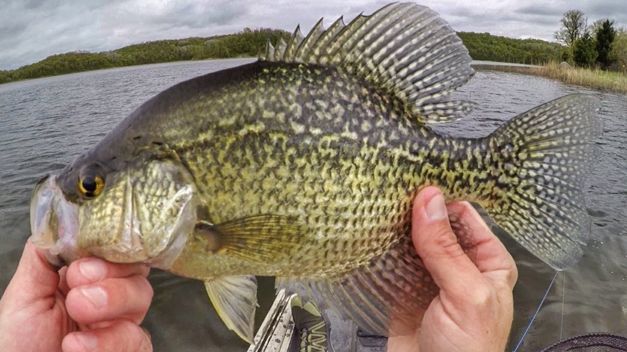 Slammin' Spring Crappies - YouTube