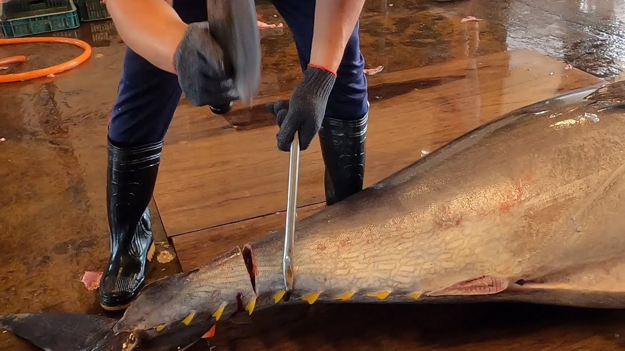 Astounding 451kg Bluefin Tuna Auction and Masterful Precision Cutting ...