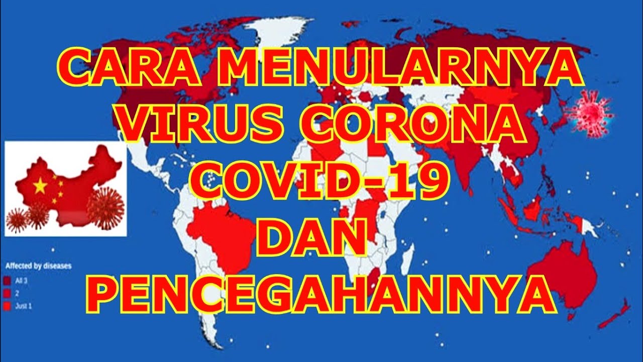 Cara Penularan Virus Corona COVID-19 Dan Pencegahannya | NH Conten ...