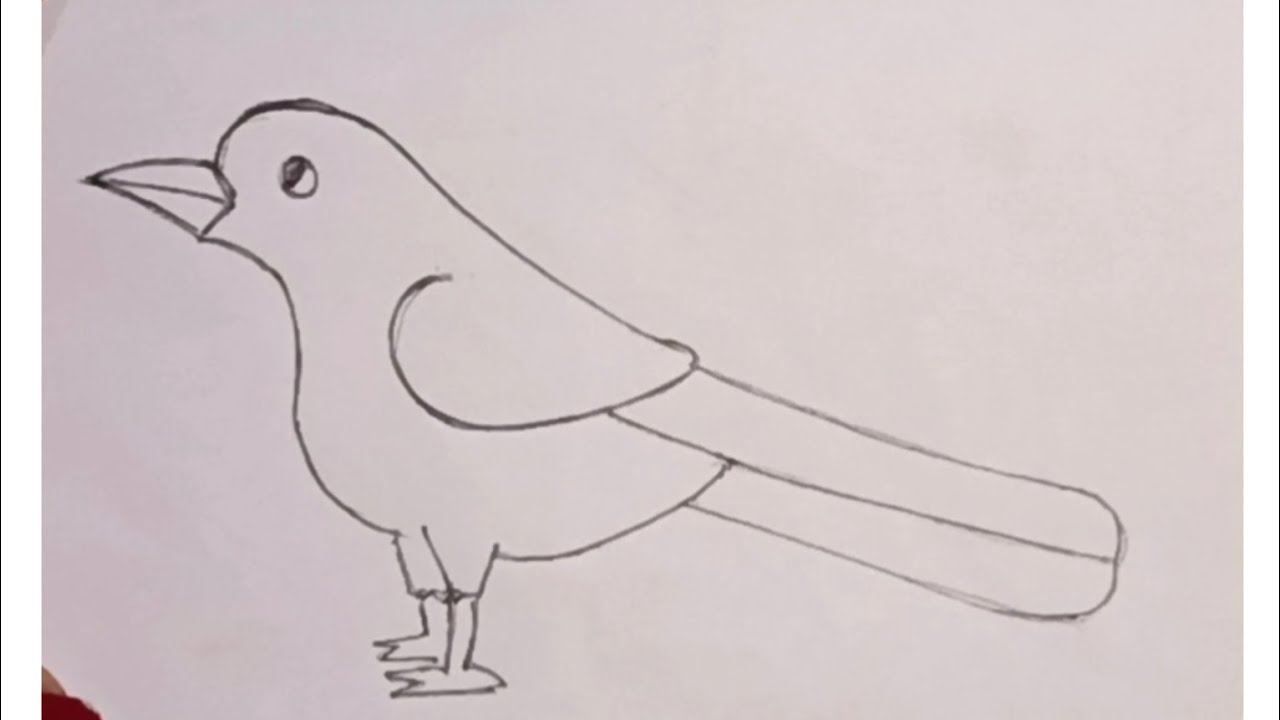 Easy bird's drawing ।। Birds Drawing ।। Children's drawing - YouTube