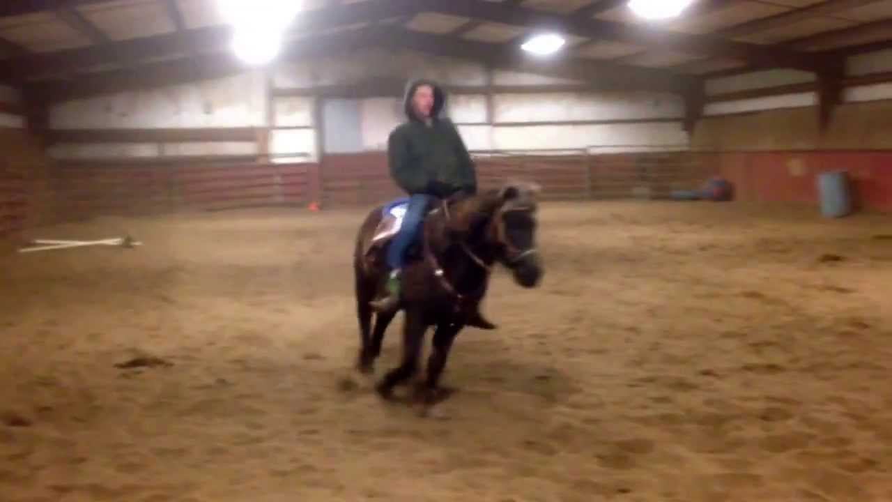 Pony Exercise - YouTube