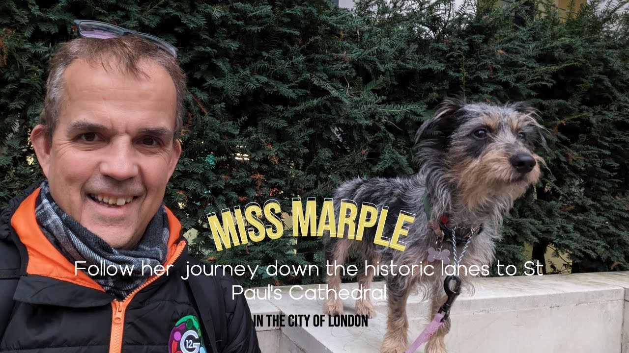 Join Miss Marple the littlest Lurcher on a tour to St Paul's Cathedral ...