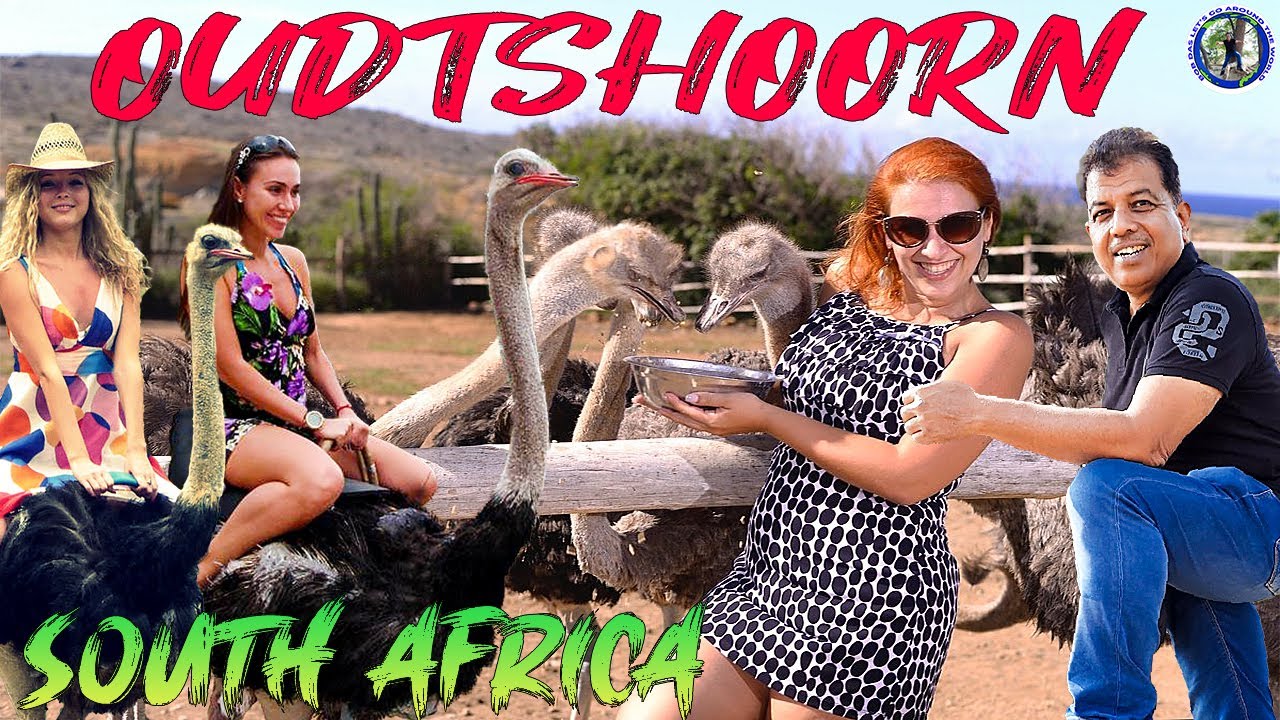South Africa Oudtshoorn (part 4) Ostrich Capital of the World. Scenic ...