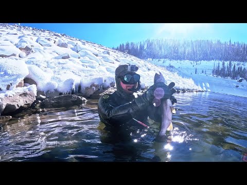 Winter Spearfishing - Cold Water Diving - Electric Lake UT - YouTube