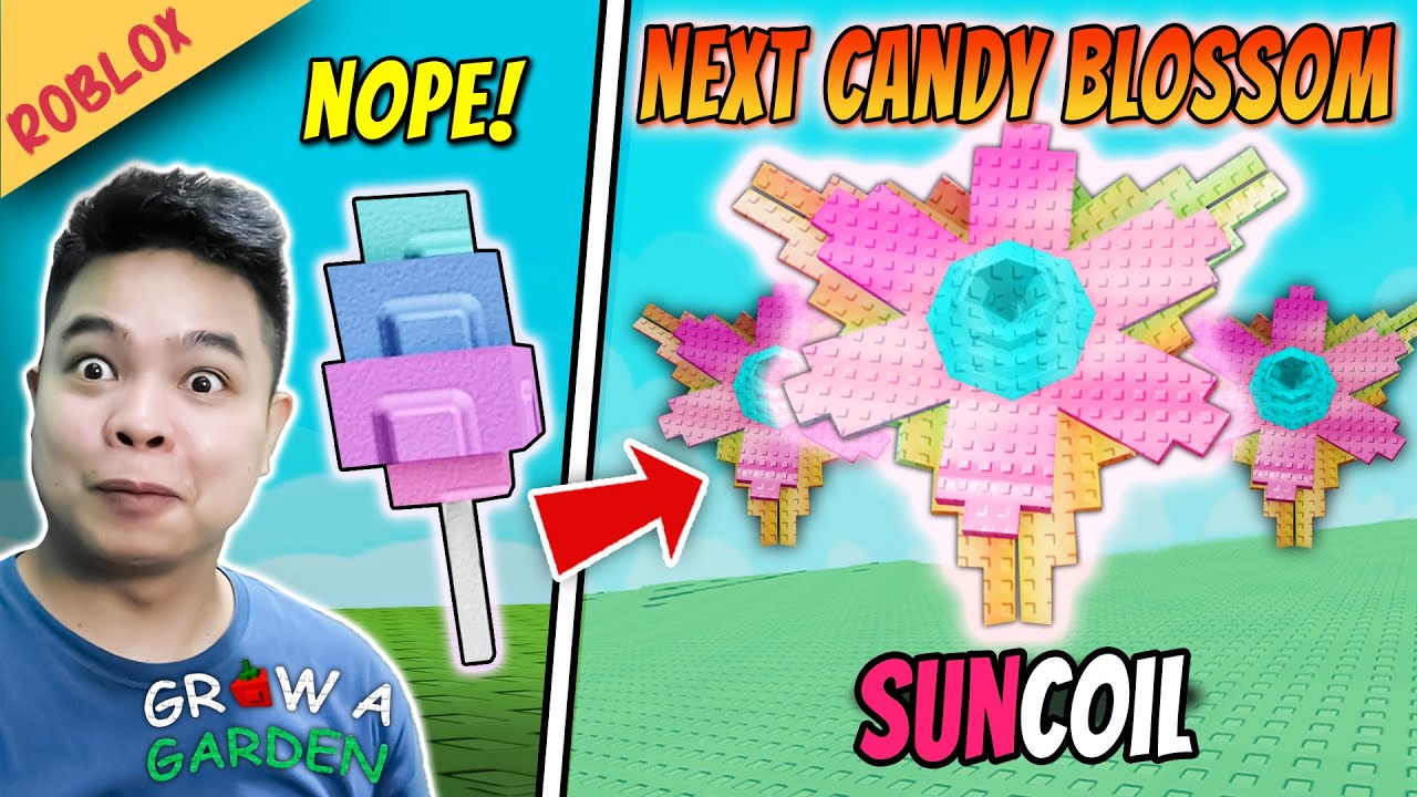 Suncoil Mas Mahal Daw sa Candy Blossom! - GROW A GARDEN ROBLOX - YouTube
