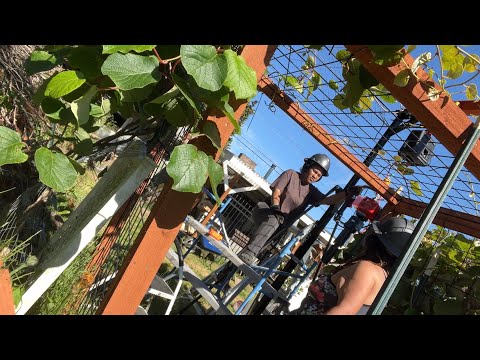 T-Post Install Yescom 900W 2 Stroke T-Post Driver 32.7CC Gas Portable ...