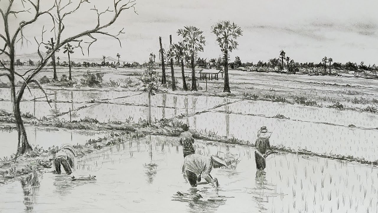How To Draw Farmer Working In The Field : A Easy Pencil Landscape ...