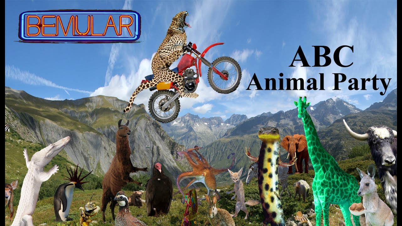 Bemular - ABC Animal Party - YouTube