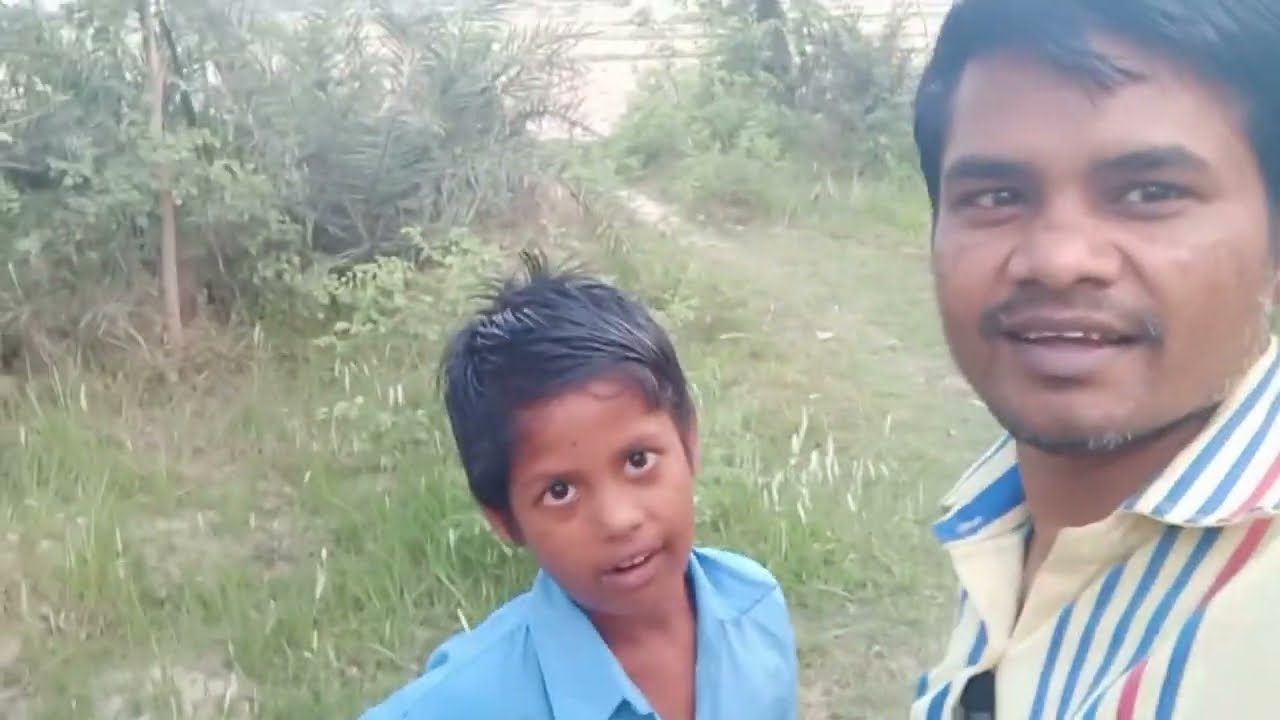 तार का फल कैसा होता है || Toddy Palmyra Palm FruitKaisa Hota Hai Tad Ka ...